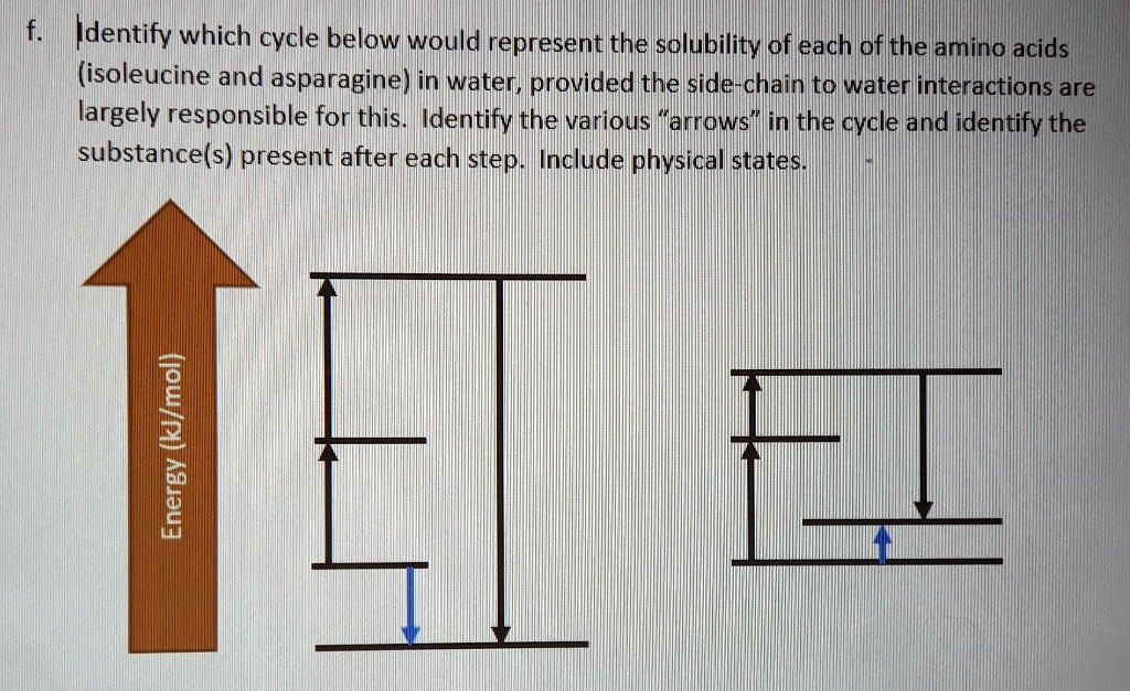 Energy (kJ/mol) f. Identify which cycle below would represent the ...