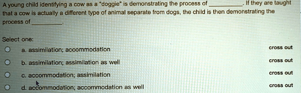 SOLVED: A young child identifying a cow as a "doggie" is demonstrating ...
