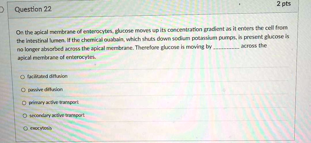 SOLVED: 2 pts Question 22 On the apical membrane of enterocytes ...