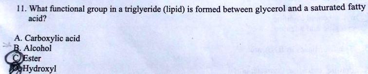 What functional group in a triglyceride (lipid) is formed between ...