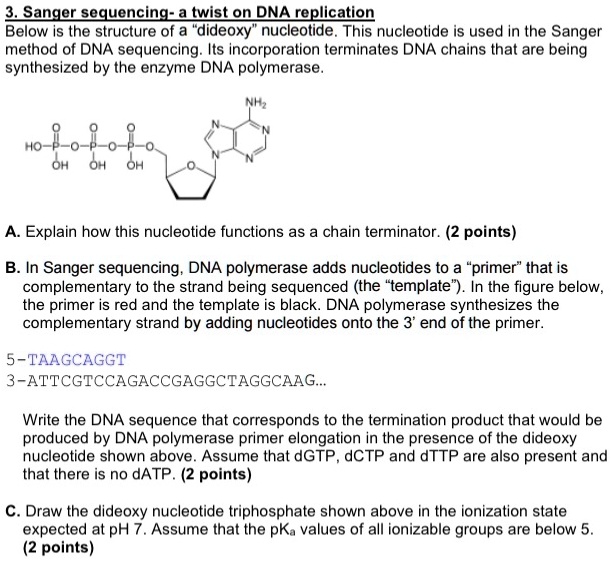 3 sangersequencing twist on dna replication below is the structure of a ...
