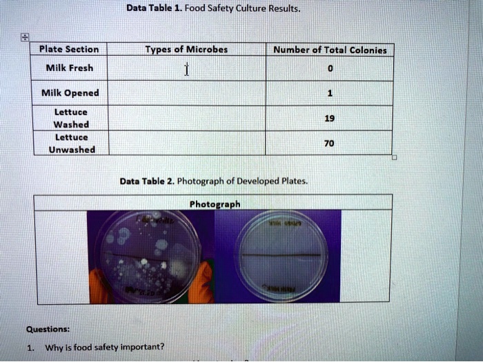 data table 1food safety culture results plate section types of microbes ...