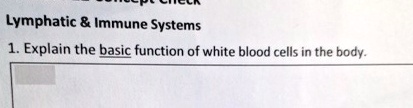 lymphatic immune systems explain the basic function of white blood cells in the body ...