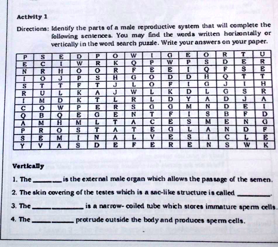 SOLVED: Activity 1 Directions: Identify the parts of a male ...
