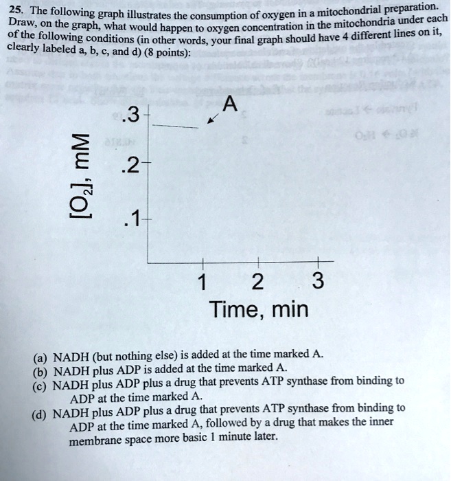 25 the following graph illustrates the consumption of oxygen in ...