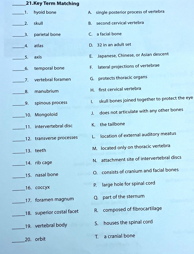 SOLVED: 21. Key Term Matching: hyoid bone single posterior process of ...