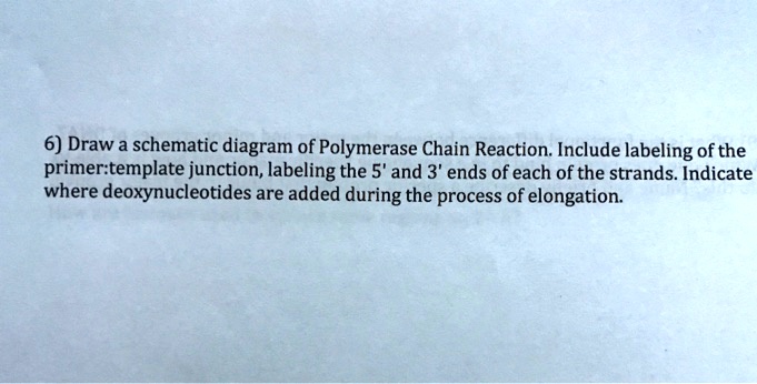 SOLVED: 6) Draw a schematic diagram of Polymerase Chain Reaction ...