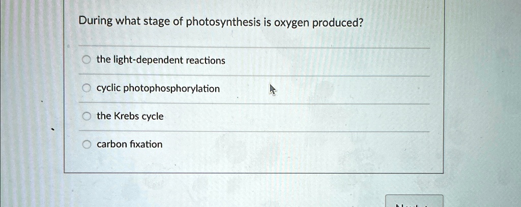 During what stage of photosynthesis is oxygen produced? the light ...
