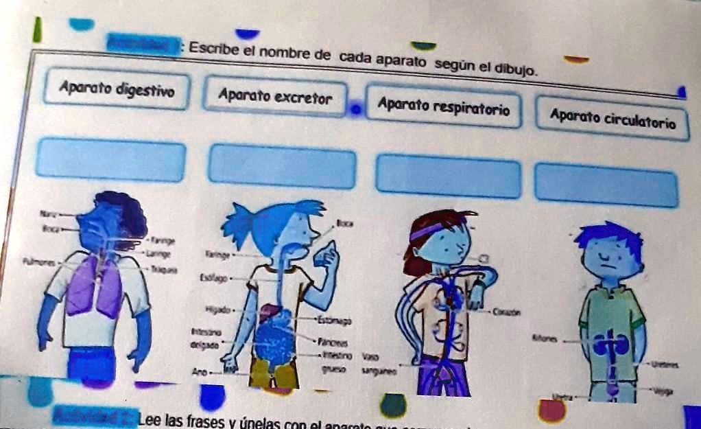 SOLVED: ayuda es para hoy ayuda Escribe el nombre de cada aparatosegún ... SOLVED: ayuda es para hoy ayuda Escribe el nombre de cada aparatosegún ...