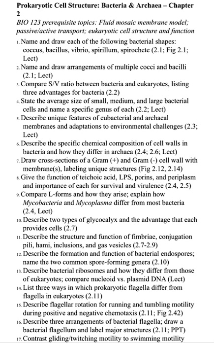 SOLVED: Prokaryotic Cell Structure: Bacteria Archaea Chapter BIO 123 ...