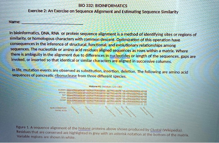 Solved Bio 332 Bioinformatics Exercise 2 An Exercise On Sequence Alignment And Estimating