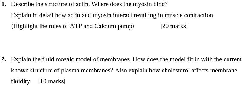 SOLVED: Describe the structure of actin. Where does the myosin bind ...
