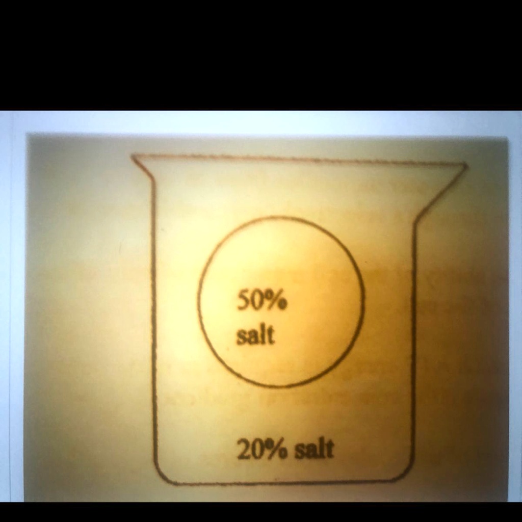 SOLVED: 'The diagram above shows a cell placed in a beaker with salt ...