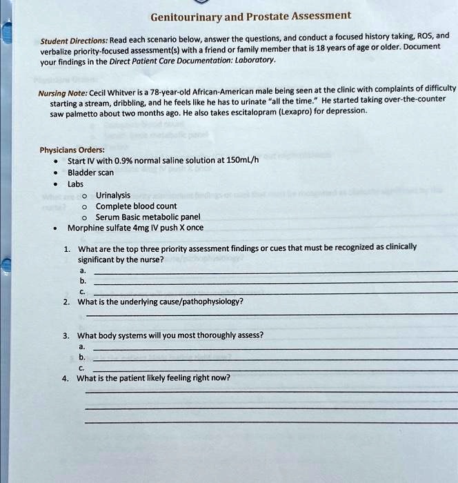 texts please help genitourinary and prostate assessment student ...