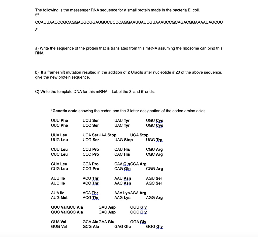 SOLVED: The following is the messenger RNA sequence for a small protein ...