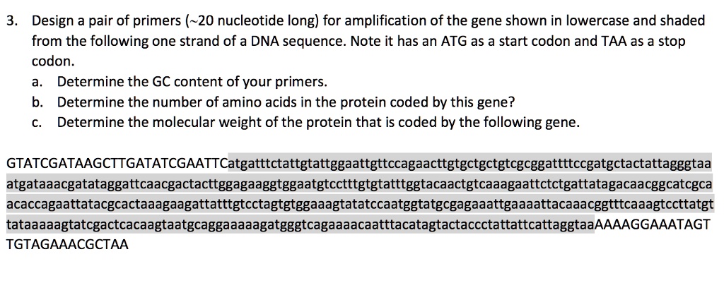 SOLVED: Design a pair of primers ( 20 nucleotide long) for ...
