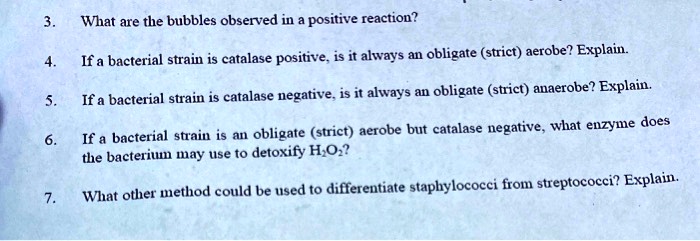 SOLVED: What are the bubbles observed in positive reaction? If a ...