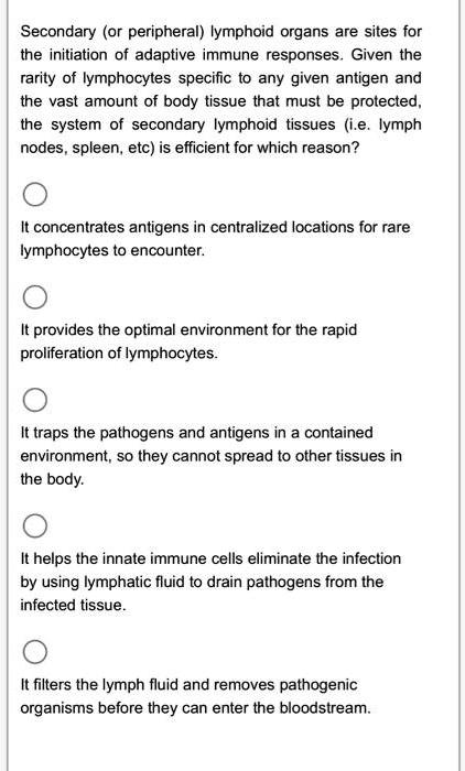 secondary or peripheral lymphoid organs are sites for the initiation of ...