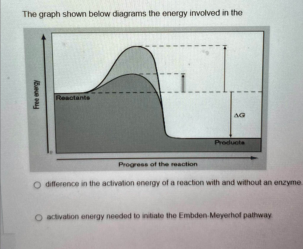 The graph shown below diagrams the energy involved in...