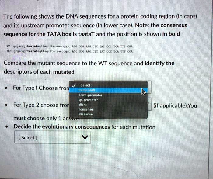 SOLVED: The following shows the DNA sequences for a protein coding region (in caps) and its ...