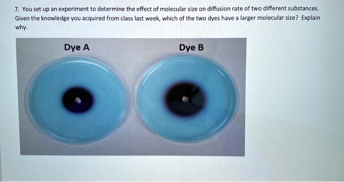 SOLVED: You set Up an experiment to determine the effect of molecular ...