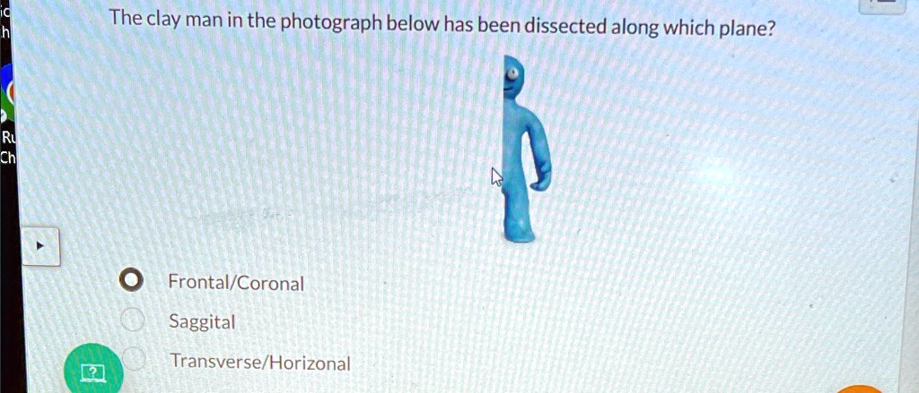 the clay man in the photograph below has been dissected along which ...