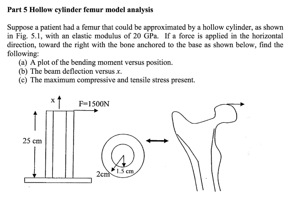 SOLVED: Part 5: Hollow Cylinder Femur Model Analysis Suppose a patient ...