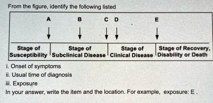 SOLVED: From the figure, identify the following listed Stage of Stage ...