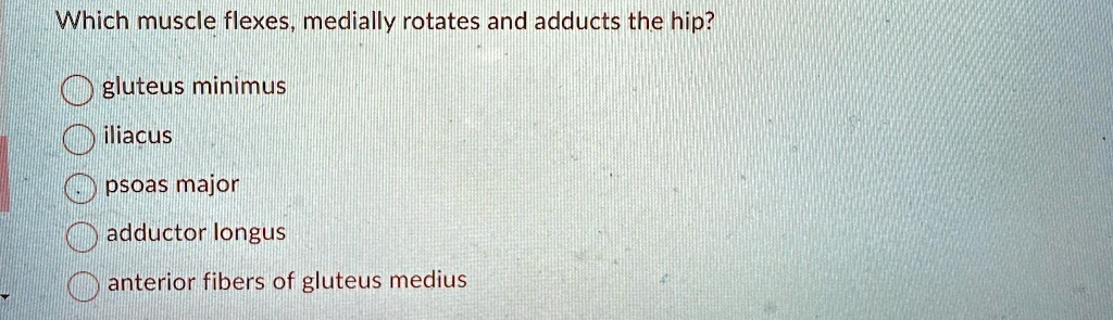 Which muscle flexes, medially rotates and adducts the hip? gluteus ...