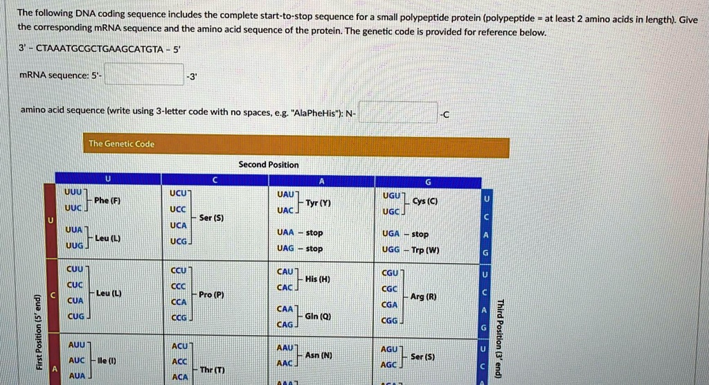 SOLVED: The following DNA coding sequence includes the complete start ...