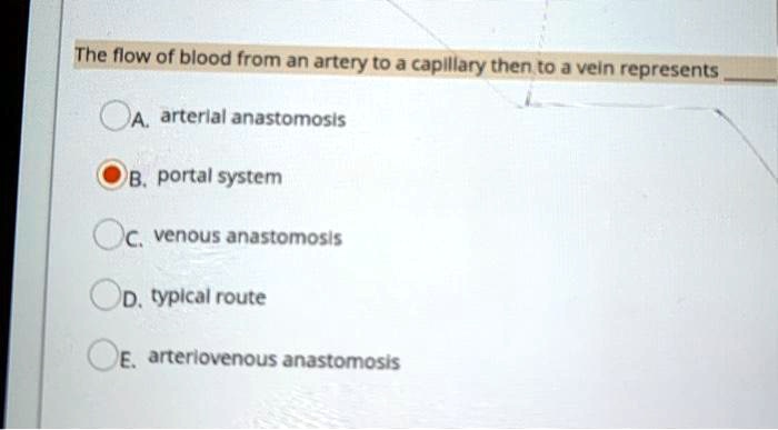 SOLVED: The flow of blood from an artery to capillary then to vein ...