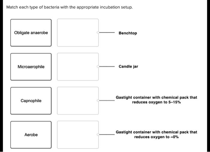 SOLVED: Match each type of bacteria with the appropriate incubation ...
