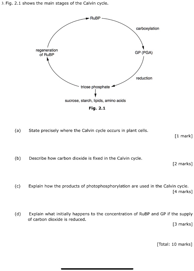 3 fig 21 shows the main stages of the calvin cycle rubp carboxylation ...