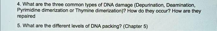 SOLVED: What are the three common types of DNA damage (Depurination ...