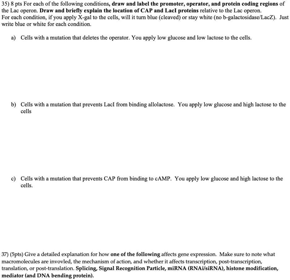 8 pts For each of the following conditions, draw and label the promoter ...