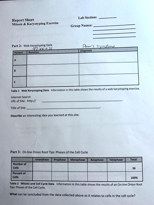 SOLVED: Lah Section: Report Shect Mitosis Karyotyping Exercise Group Names: Part 2: Web ...