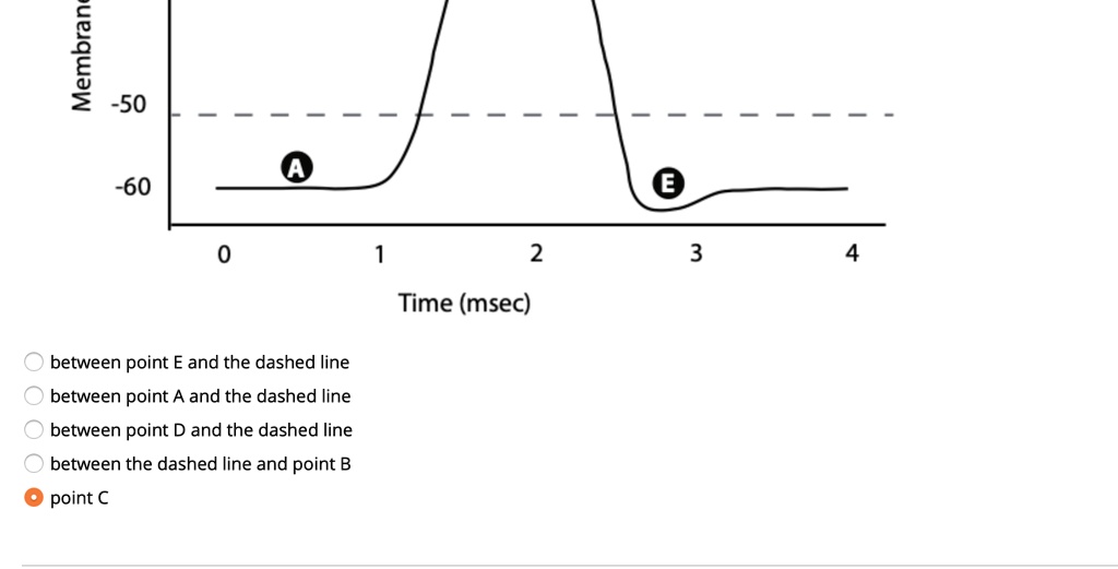 SOLVED: Membran 50 09- Time (msec) between point E and the dashed line ...