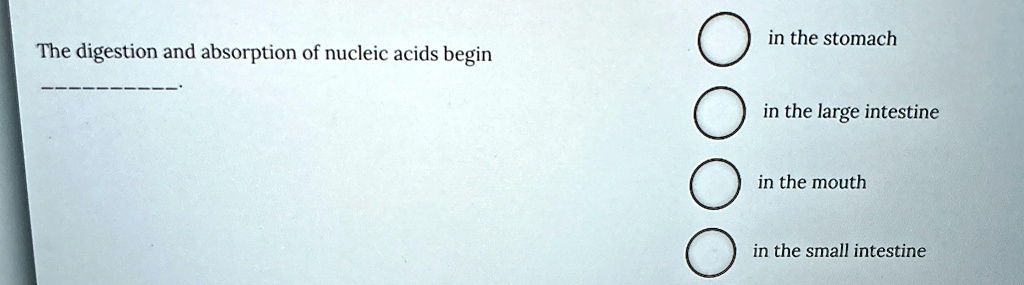 the digestion and absorption of nucleic acids begin in the stomach in ...