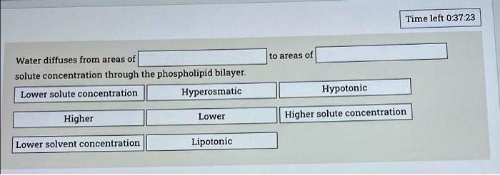 Water diffuses from areas of to areas of solute concentration through ...