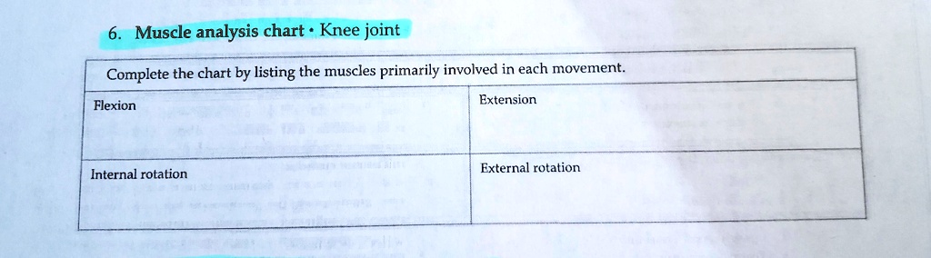 6. Muscle analysis chart ·Knee joint Complete the chart by listing the ...