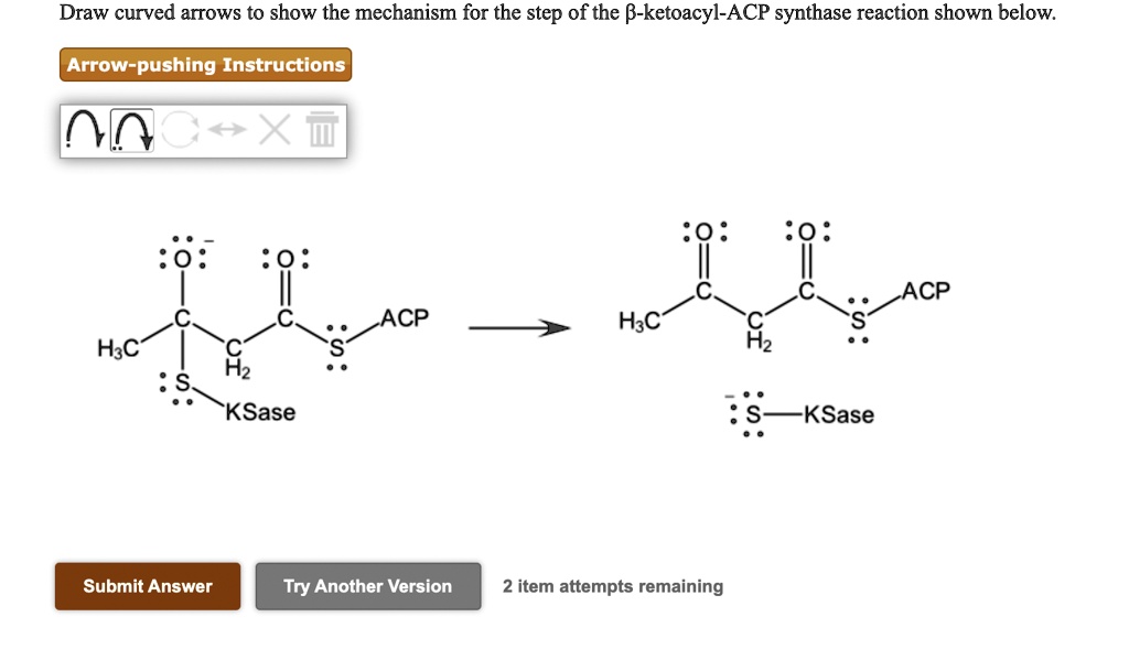 SOLVED:Draw curved arrows to show the mechanism for the step of the f ...
