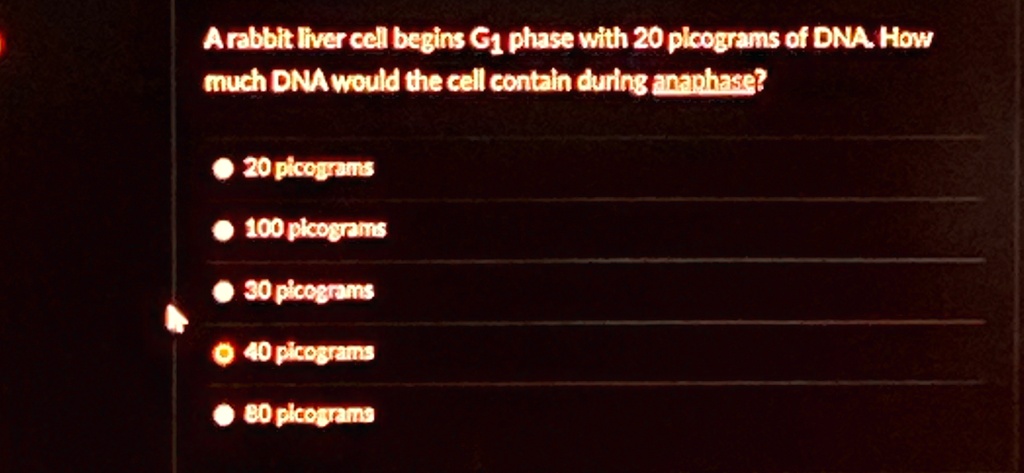 A rabbit liver cell begins G1 phase with 20 picograms of DNA. How much ...