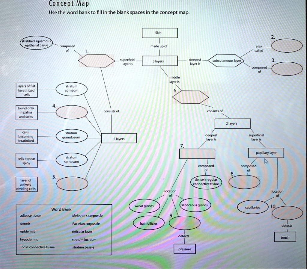 concept map use the word bank to fill in the blank spaces in the ...