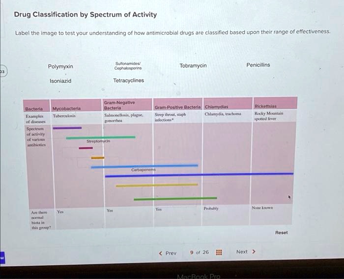 Drug Classification by Spectrum of Activity Label the image to test ...