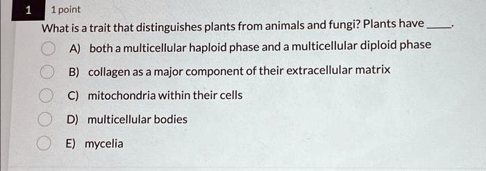 1 1 point What is a trait that distinguishes plants from...
