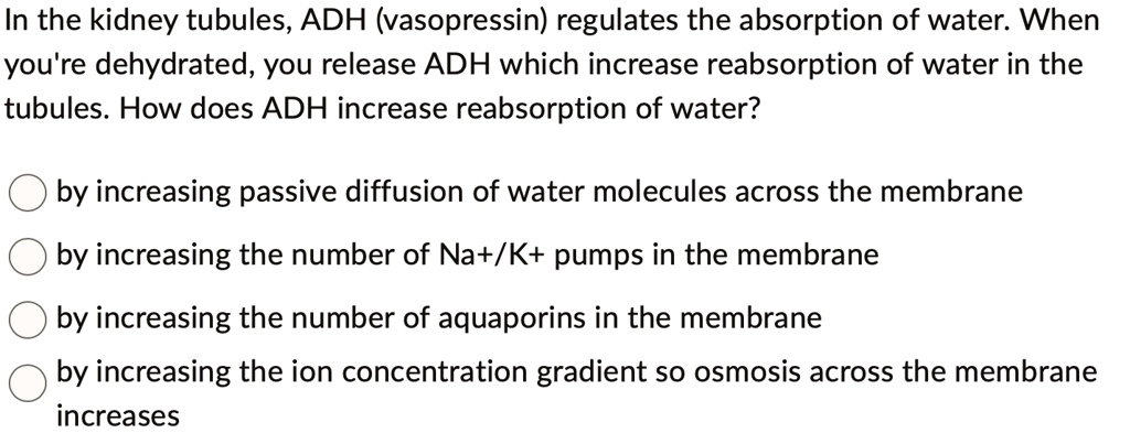 In the kidney tubules, ADH (vasopressin) regulates the absorption of ...