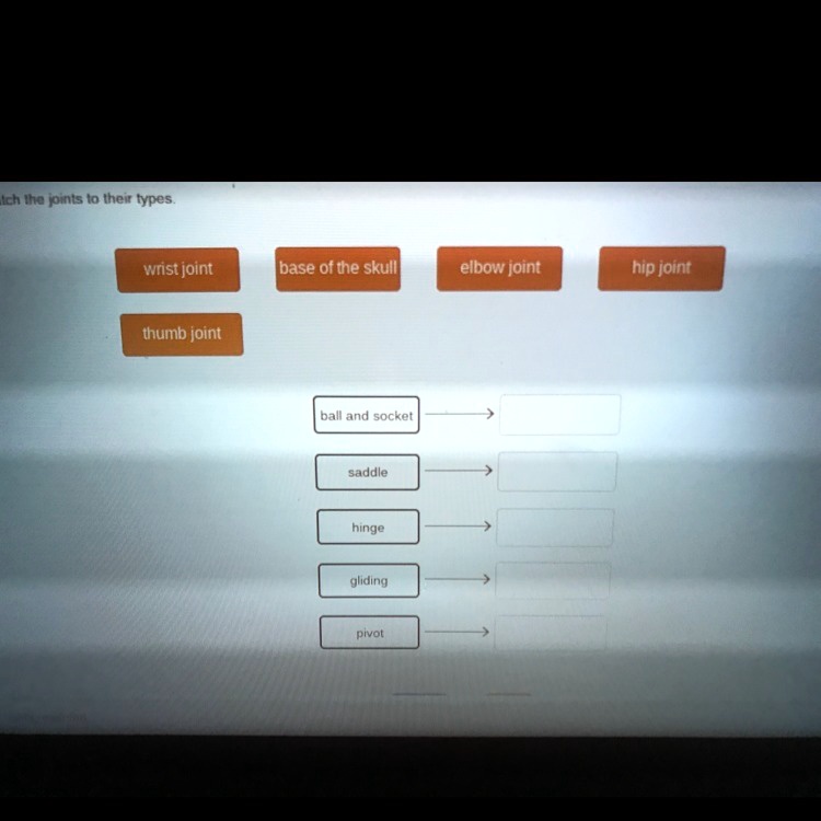 SOLVED: Drag the tiles to the correct boxes to complete the pairs ...