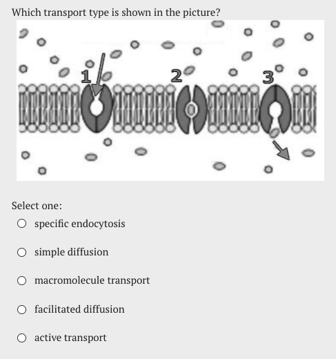 SOLVED: Which transport type is shown in the picture? Select one ...