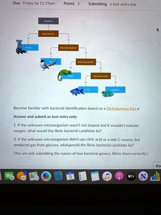 SOLVED: Due Friday by 11:59 pm Points Submitting text entry box Become familiar with bacterial ...