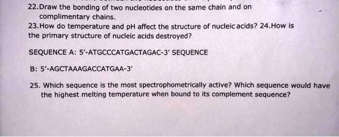 22draw the bonding of two nucleotides on the same chain and on ...